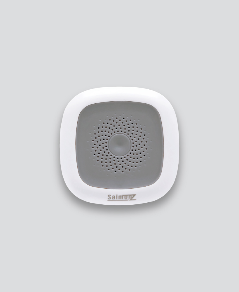 SAIMON Z - SaimonBros