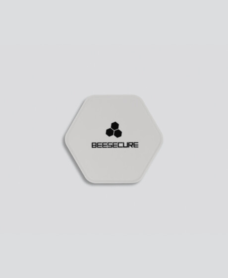 BEE HUB - SaimonBros