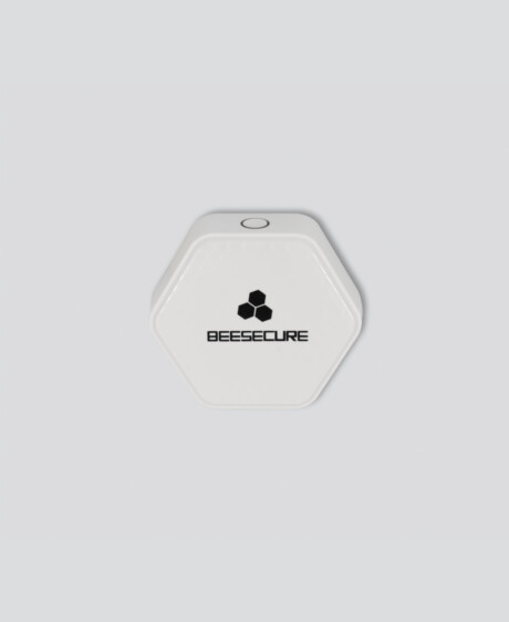 BEE HUB - SaimonBros